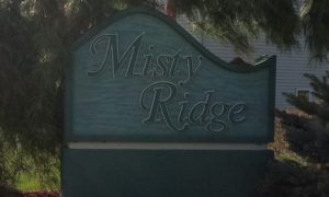 Home - Misty Ridge Association